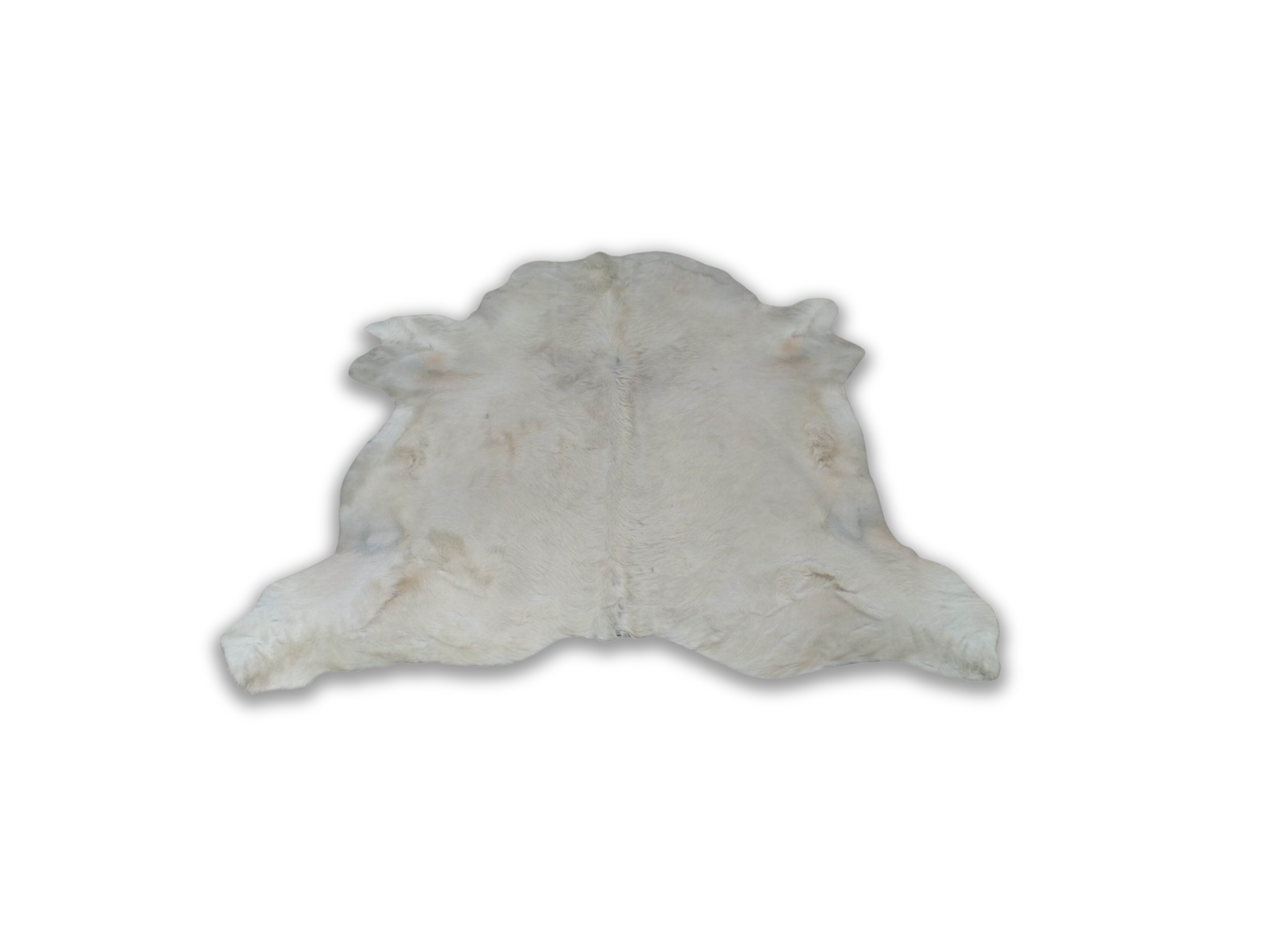 White cow hide – Animal Skin Tanning Services