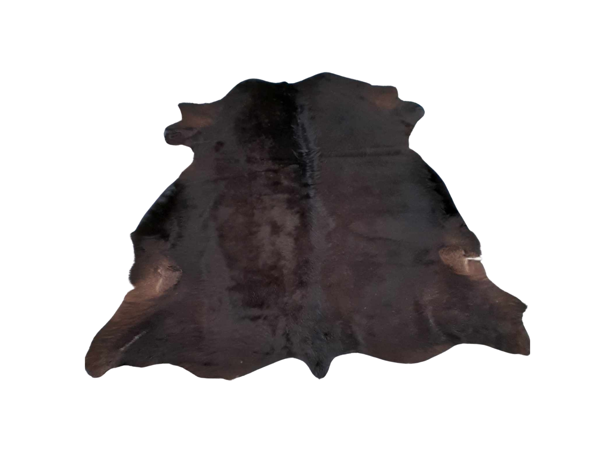 Black Cow Hide – Animal Skin Tanning Services