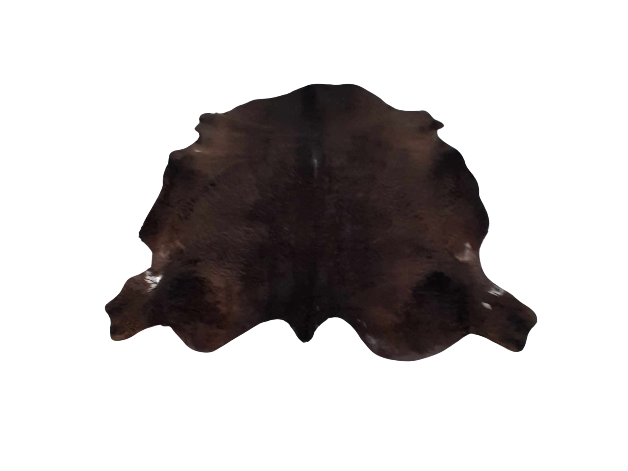 Black Cow Hide – Animal Skin Tanning Services