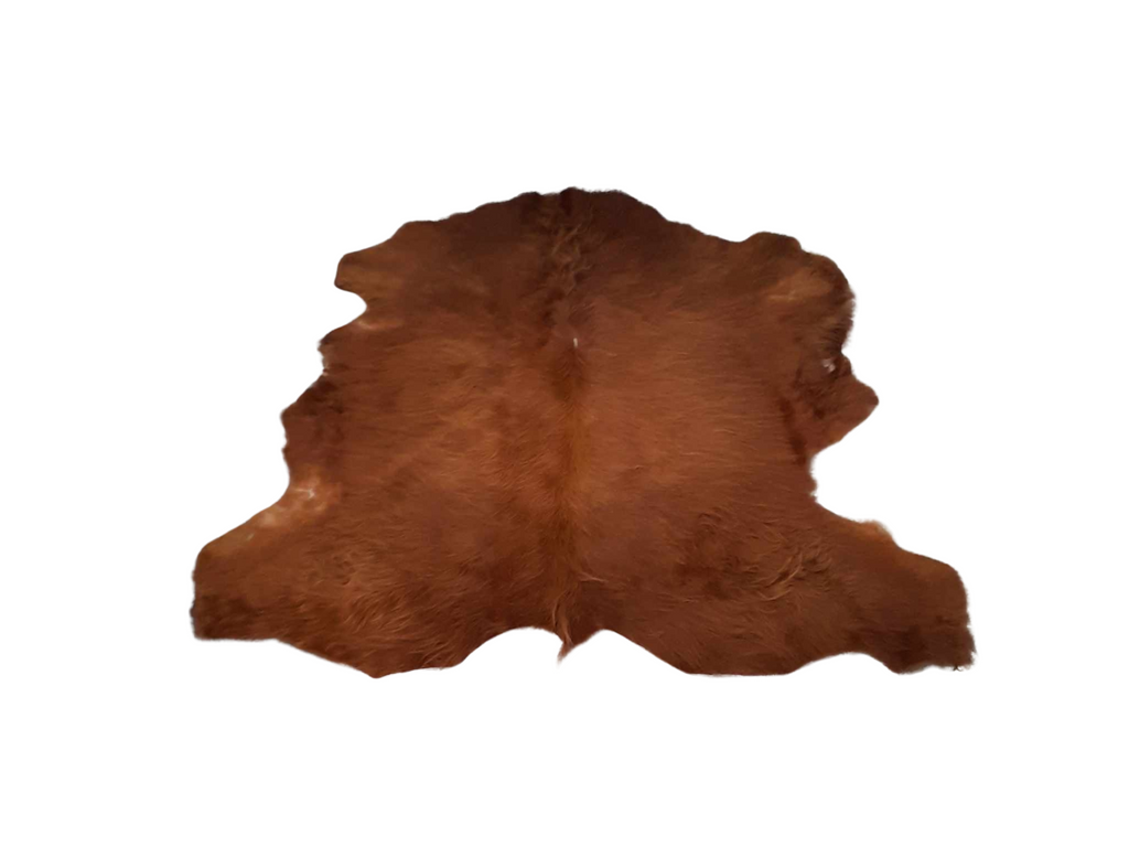 Highland Cow Hide – Animal Skin Tanning Services