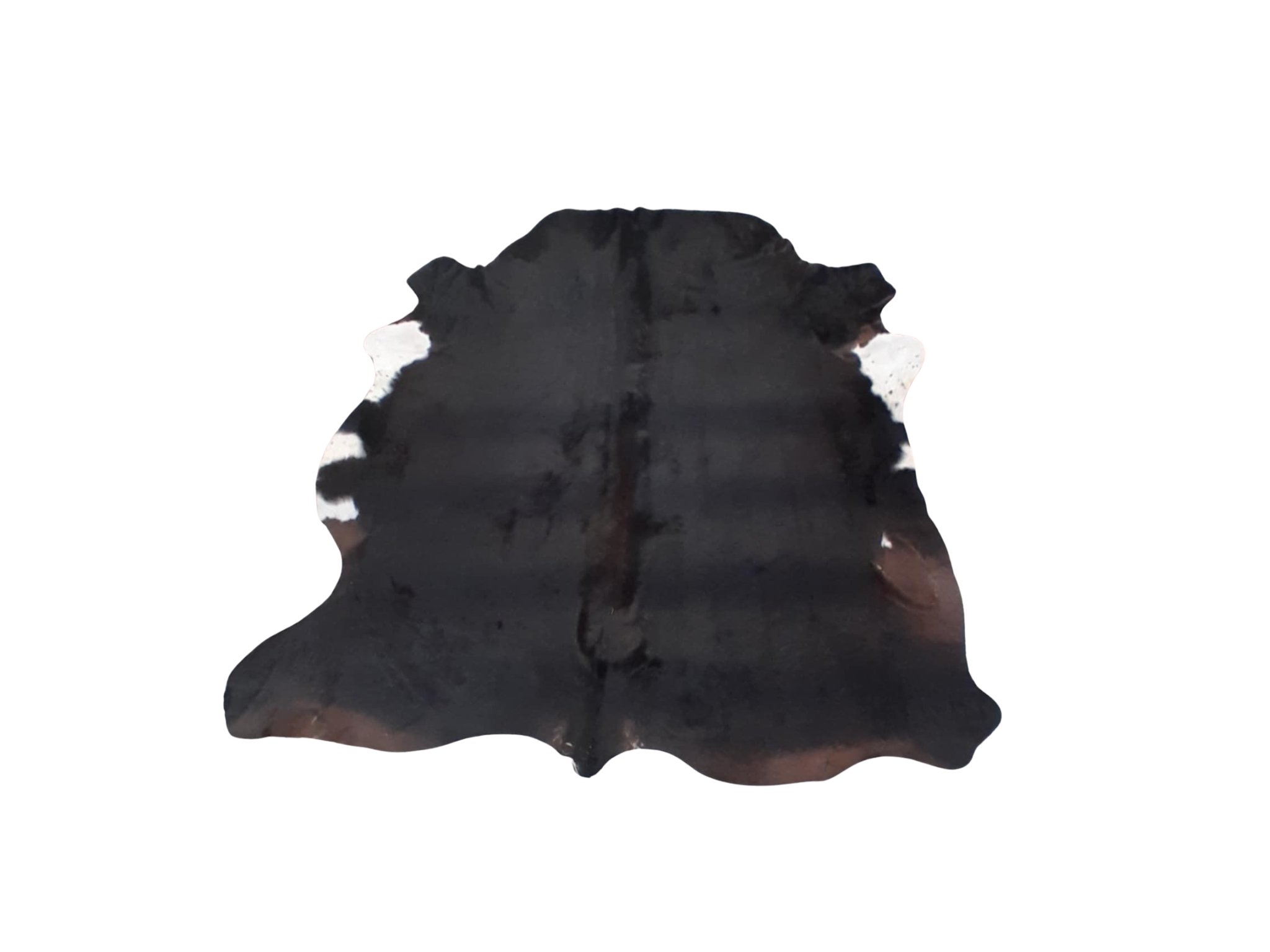 Black Cow Hide – Animal Skin Tanning Services