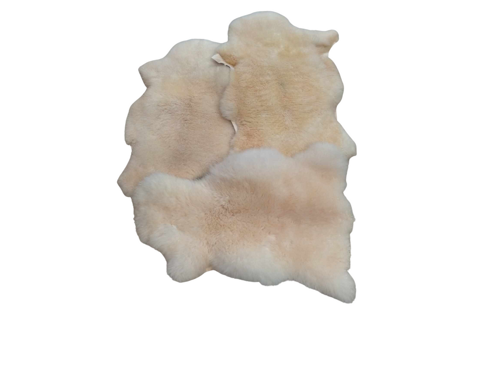 White 2nd sheepskins – Animal Skin Tanning Services
