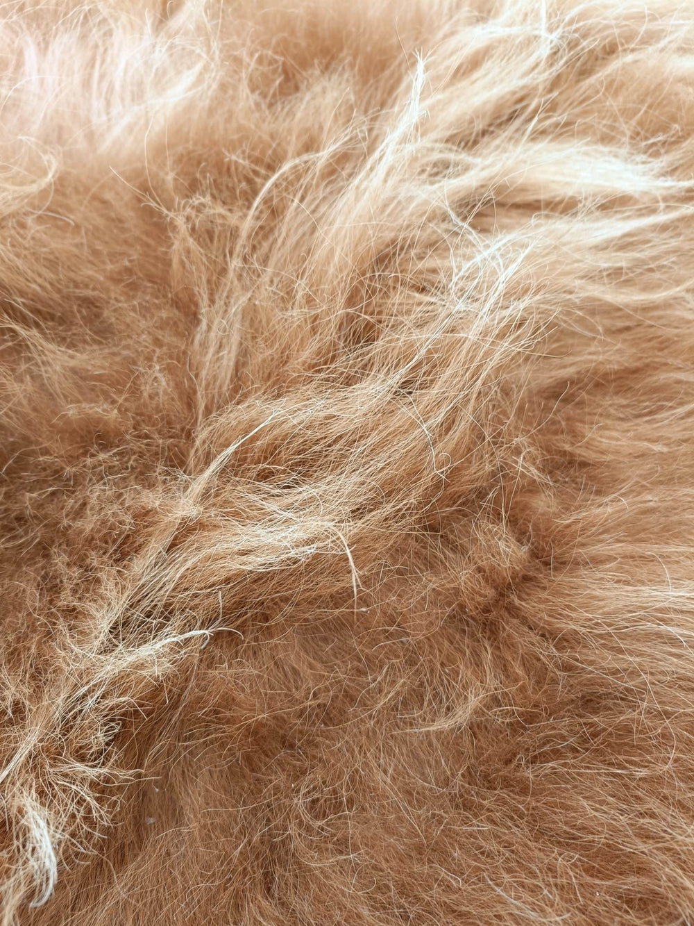 Cowhide Rugs, Tanned Cow Hides for sale – Page 2 – Animal Skin Tanning ...