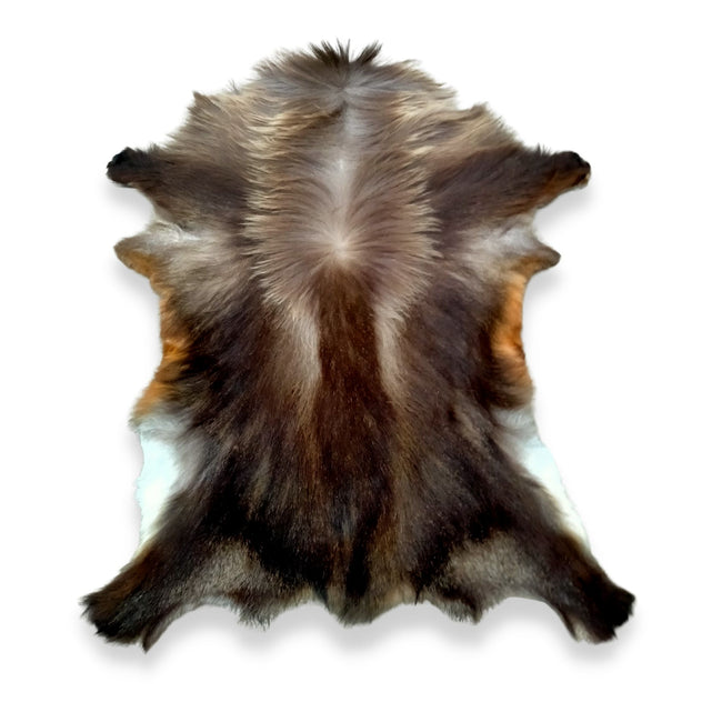Winter Bull Tahr Skin – Animal Skin Tanning Services