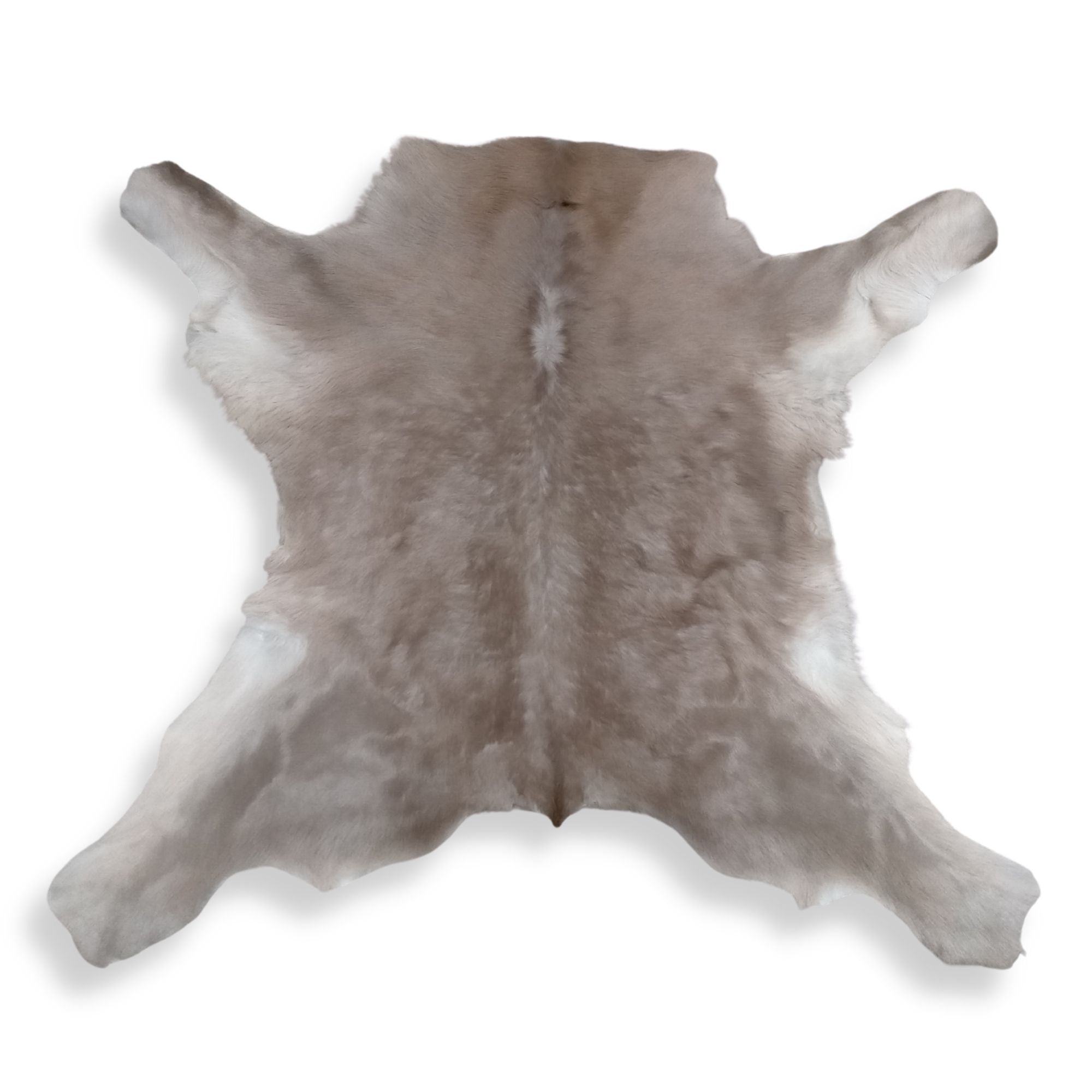 Calf Skins – Animal Skin Tanning Services