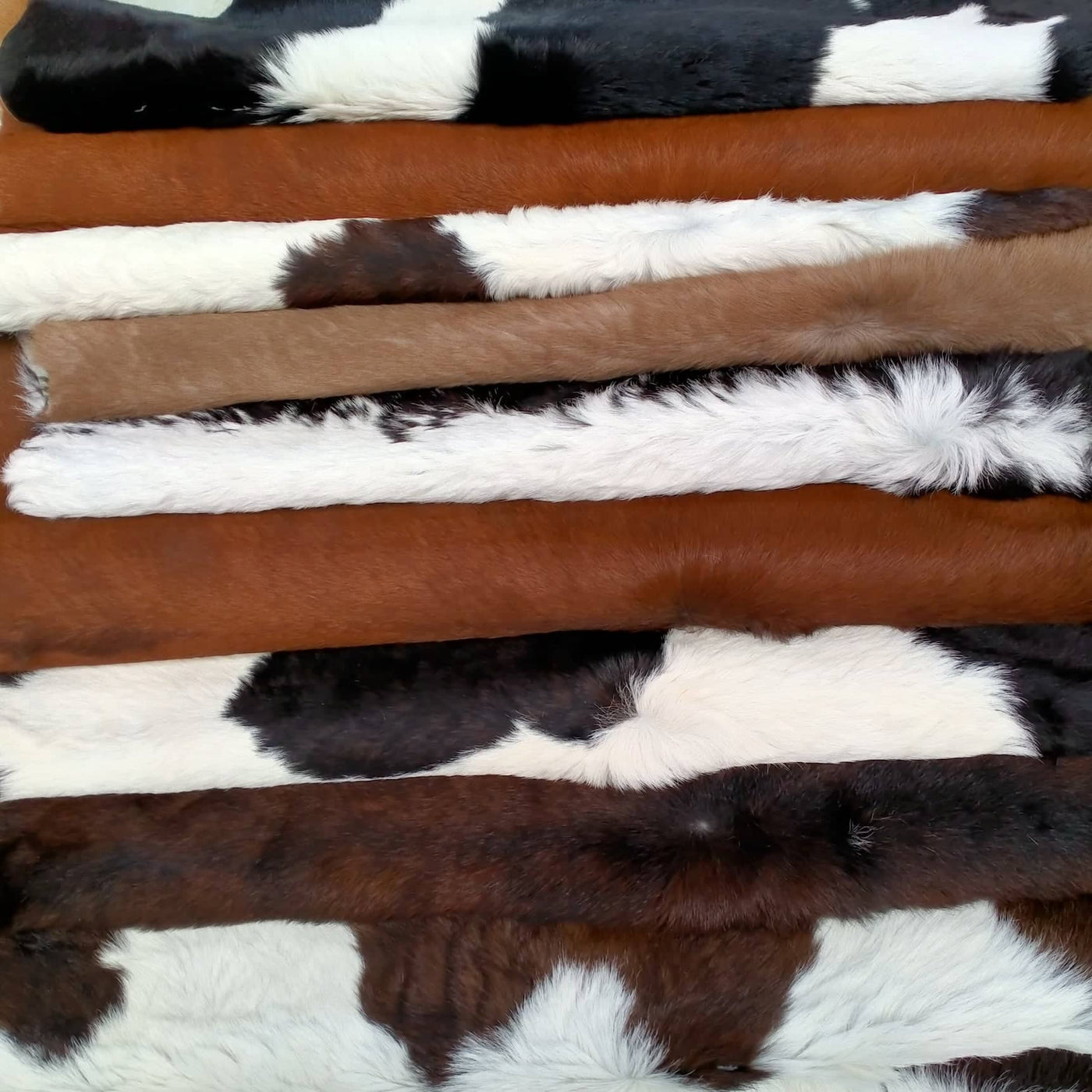 Calf Skins for Sale – Animal Skin Tanning Services