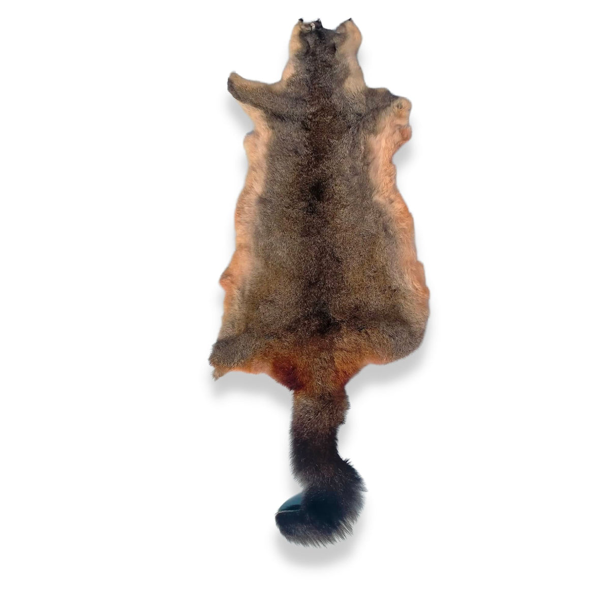 Possum Skins & possum pelts for sale – Animal Skin Tanning Services