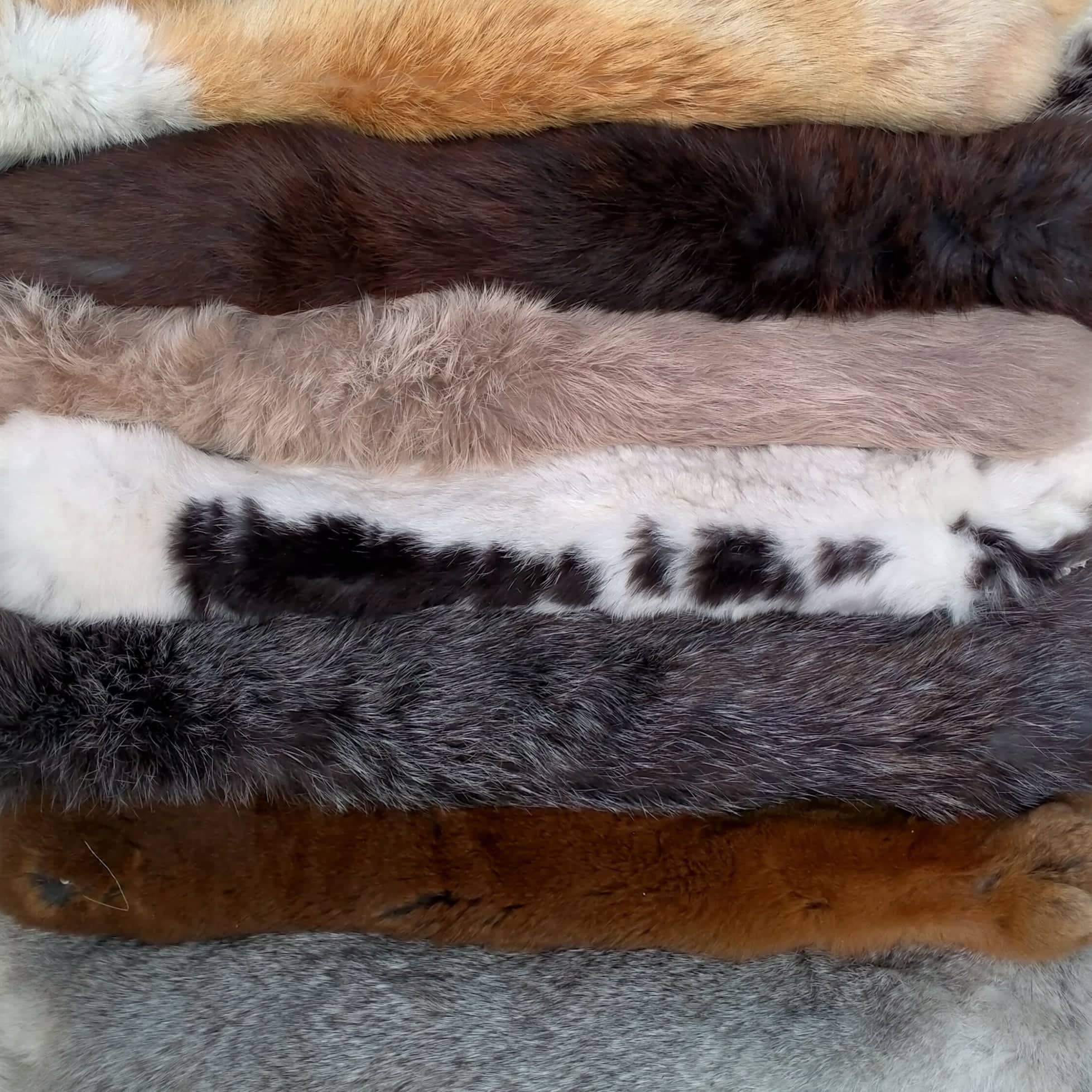 Natural Coloured Rabbit Skins – Animal Skin Tanning Services