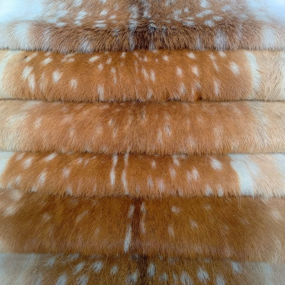Deer Skins for Sale | Deer Skins Tanned in NZ – Animal Skin Tanning ...