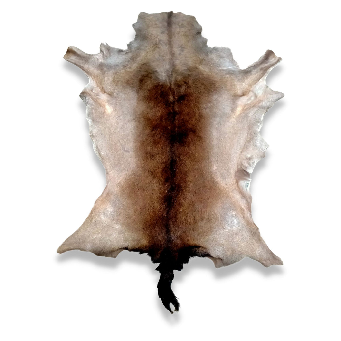 Deer Skins for Sale | Deer Skins Tanned in NZ – Animal Skin Tanning ...