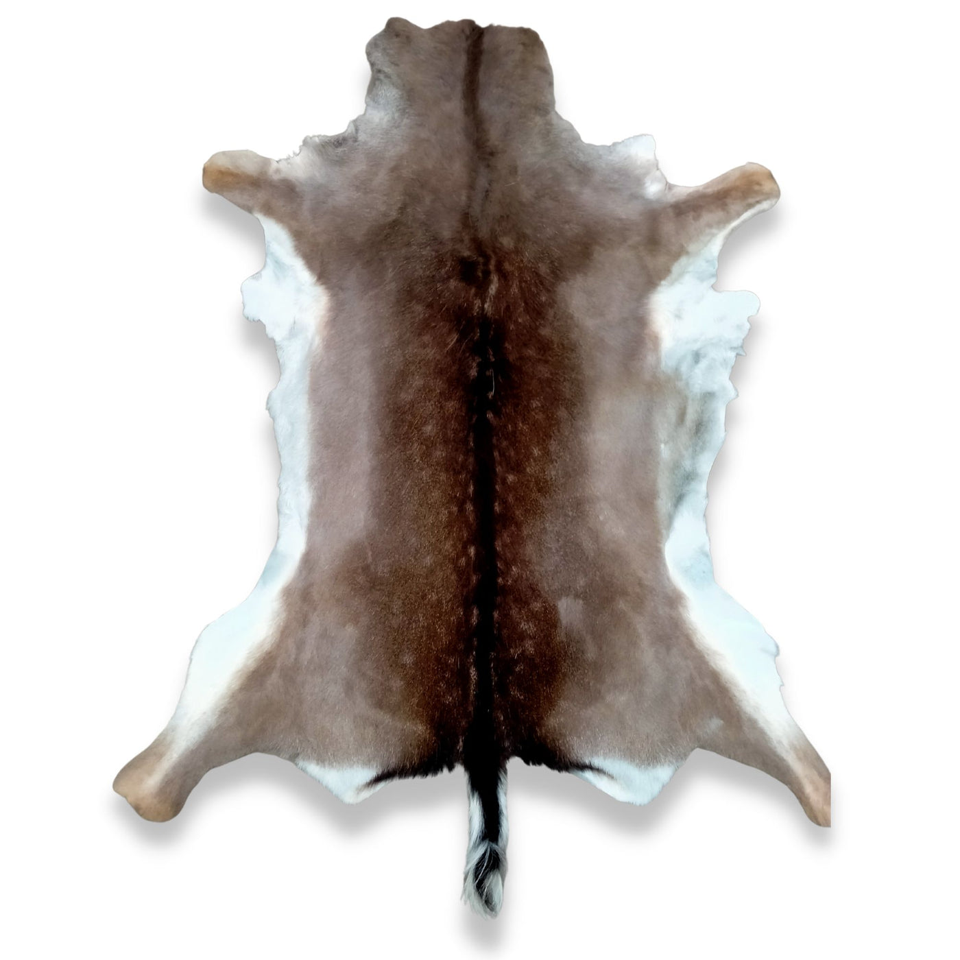 Deer Skins for Sale | Deer Skins Tanned in NZ – Animal Skin Tanning ...