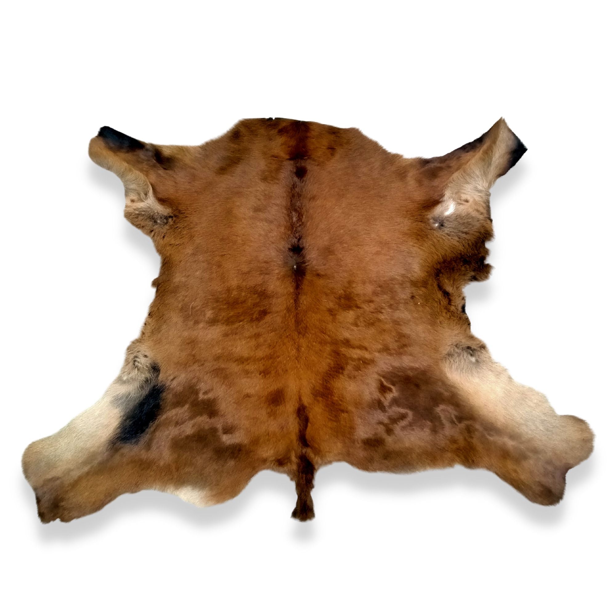 Calf Skins – Animal Skin Tanning Services