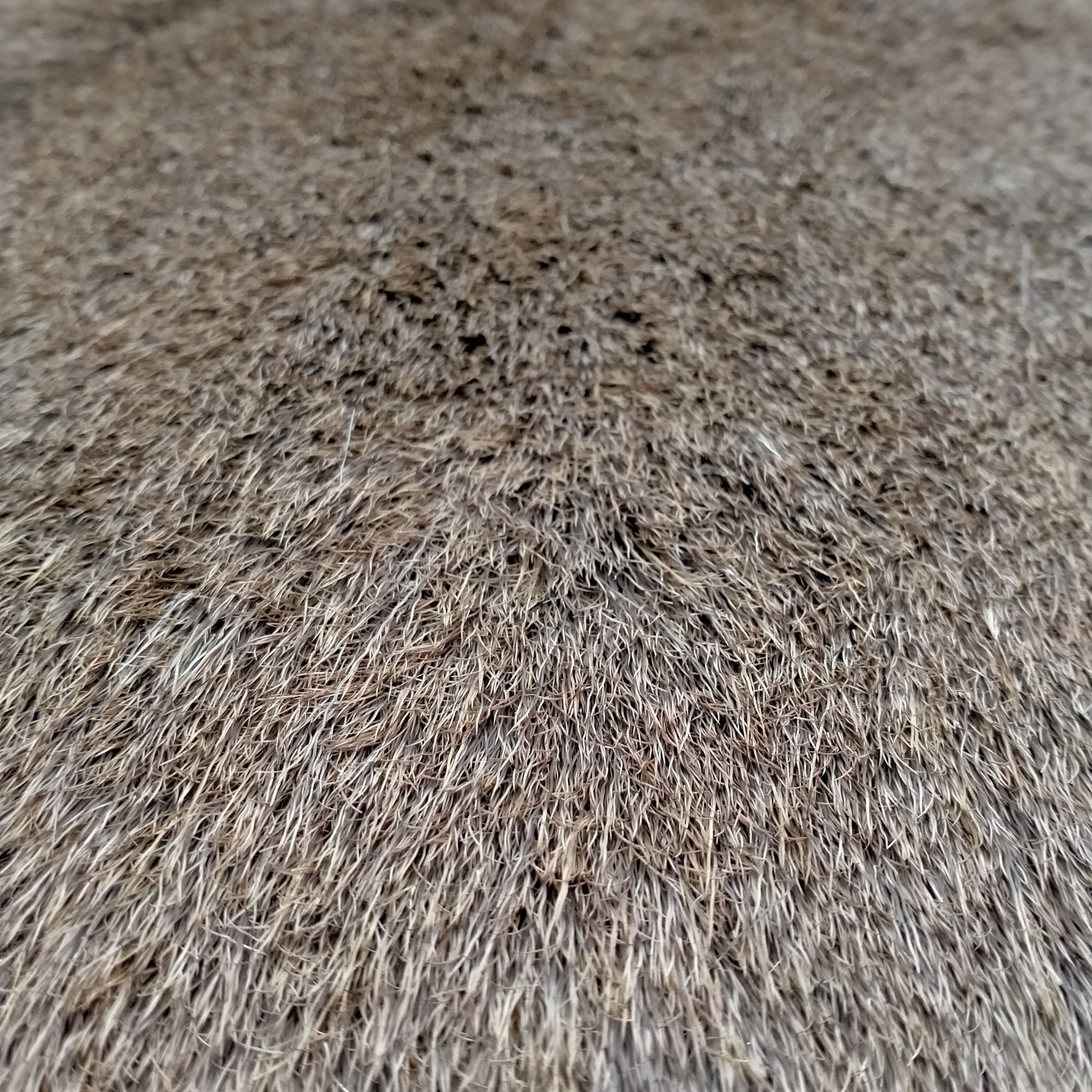 Red Deer – Animal Skin Tanning Services