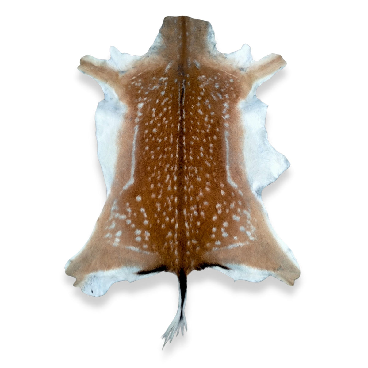 Deer Skins for Sale | Deer Skins Tanned in NZ – Animal Skin Tanning ...