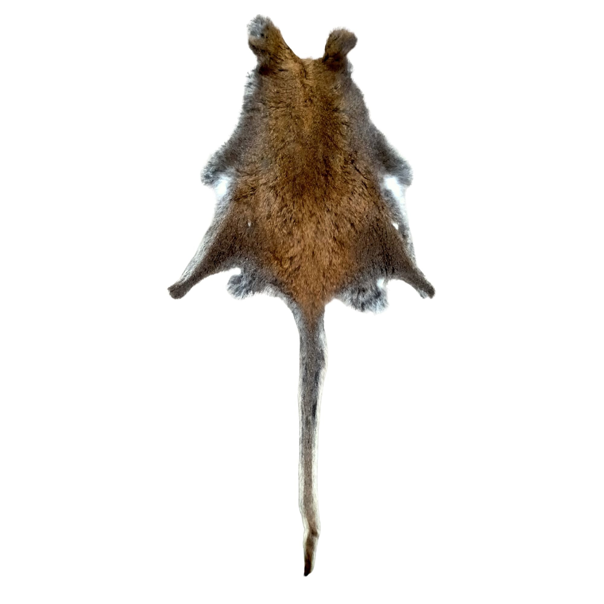 Wallaby – Animal Skin Tanning Services